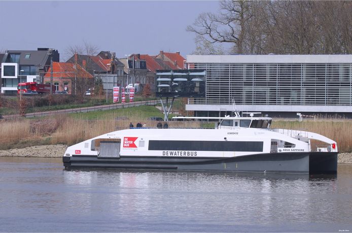 Temse vraagt onafhankelijke studie naar doortrekken Waterbus: “Schelde ...