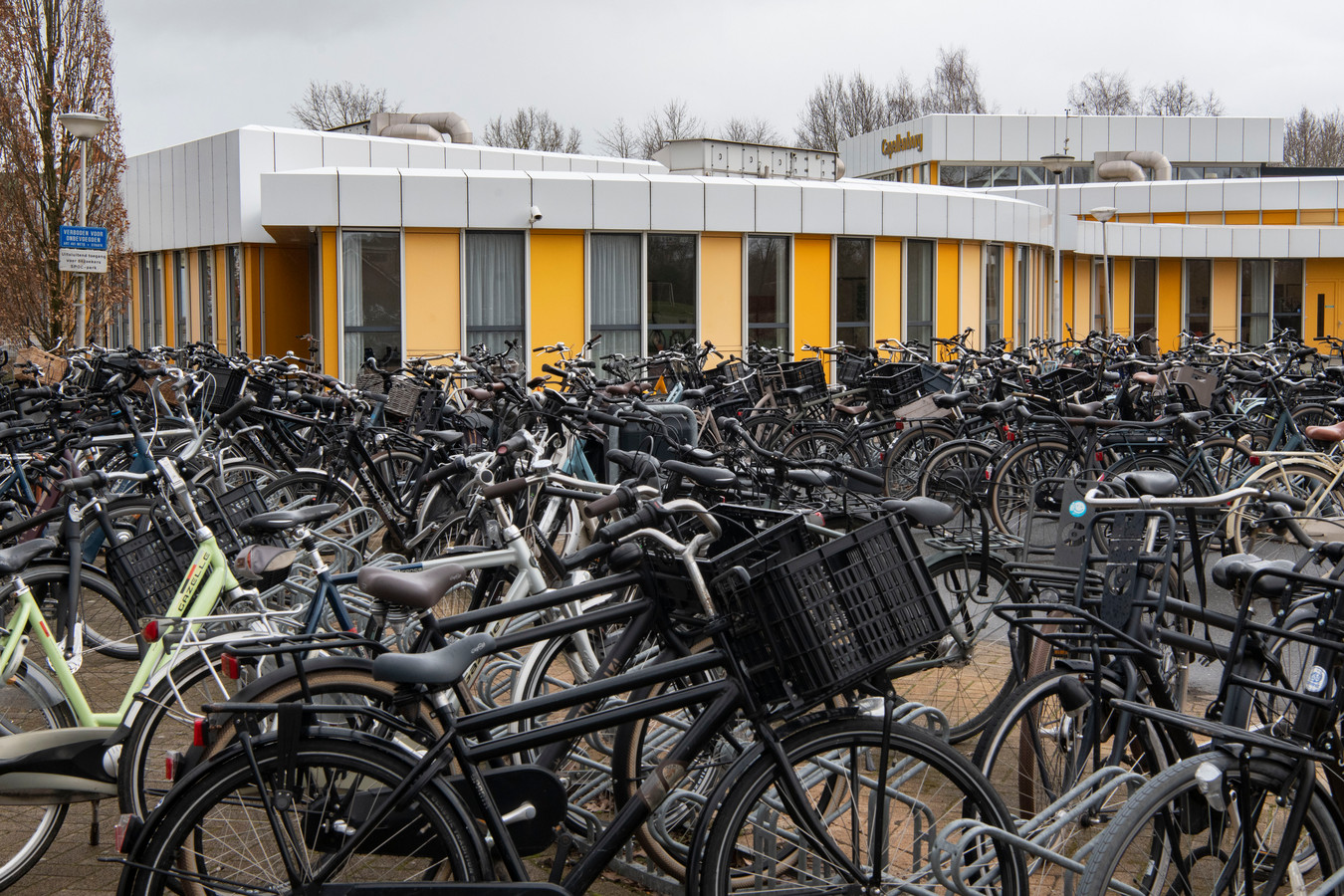 Buschauffeur (78) afgetuigd voor oog van kinderen in Wijhe: ‘Stevige ...