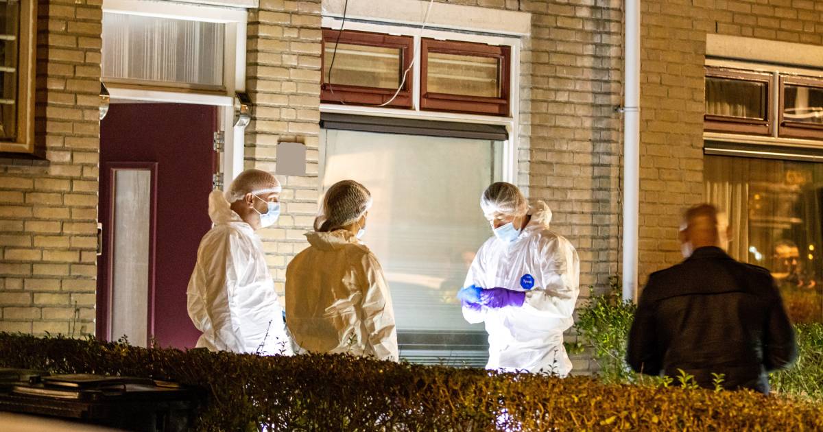 Gewelddadige dood Maria (43) slaat in als bom bij hulpverleners ...