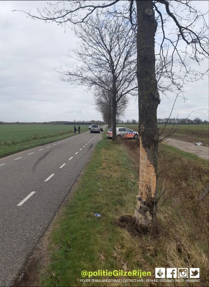Dronken bestuurder botst tegen boom in Rijen en raakt rijbewijs kwijt | Oosterhout | bndestem.nl