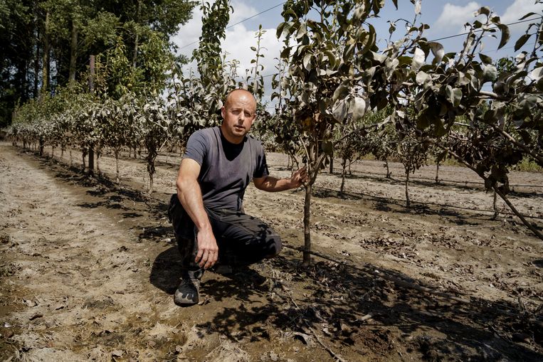 Op deze plek in Vlaanderen is het water twee weken na de overstromingen ...
