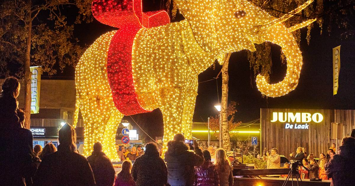 Jumbo-olifant nu al het meest gefotografeerde beest van Uden | Uden ...