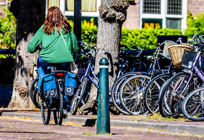 Fietsersbond wil af van gevaarlijke paaltjes in Dordrecht: ‘Niemand ...