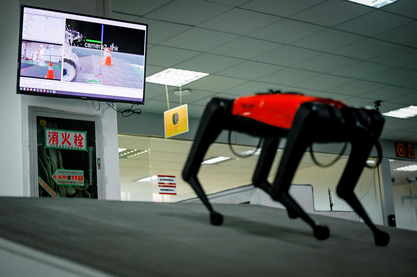 Un robochien chinois qui court plus vite que son ombre | Foto | 7sur7.be
