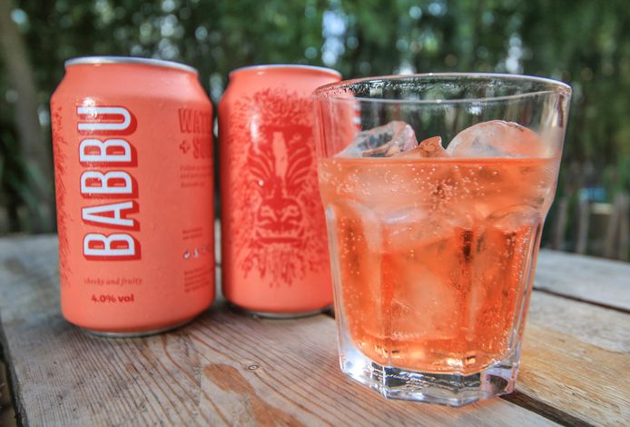 Kortrijkzaan lanceert licht alcoholische gezonde frisdrank Babbu: “Ik ...