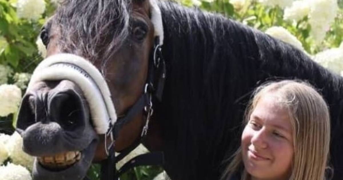 Nederlandse turnleraar Olivier (33) moet 12 jaar de cel in voor doden ...