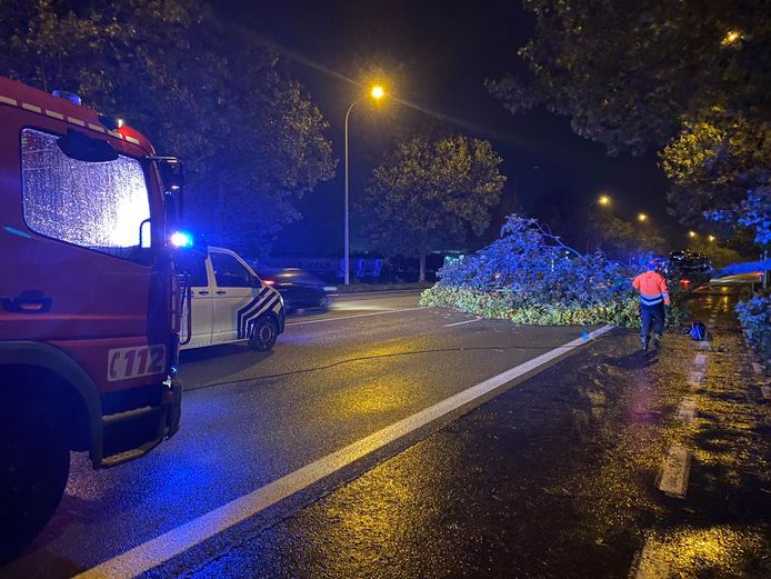 OVERZICHT. Storm Ciarán laat spoor van vernieling achter in Vlaanderen ...