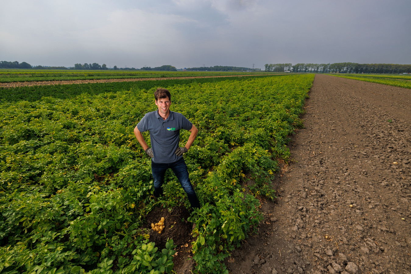 Op deze akker in Zeewolde zijn ze op zoek naar de perfecte aardappel ... Op deze akker in Zeewolde zijn ze op zoek naar de perfecte aardappel ...