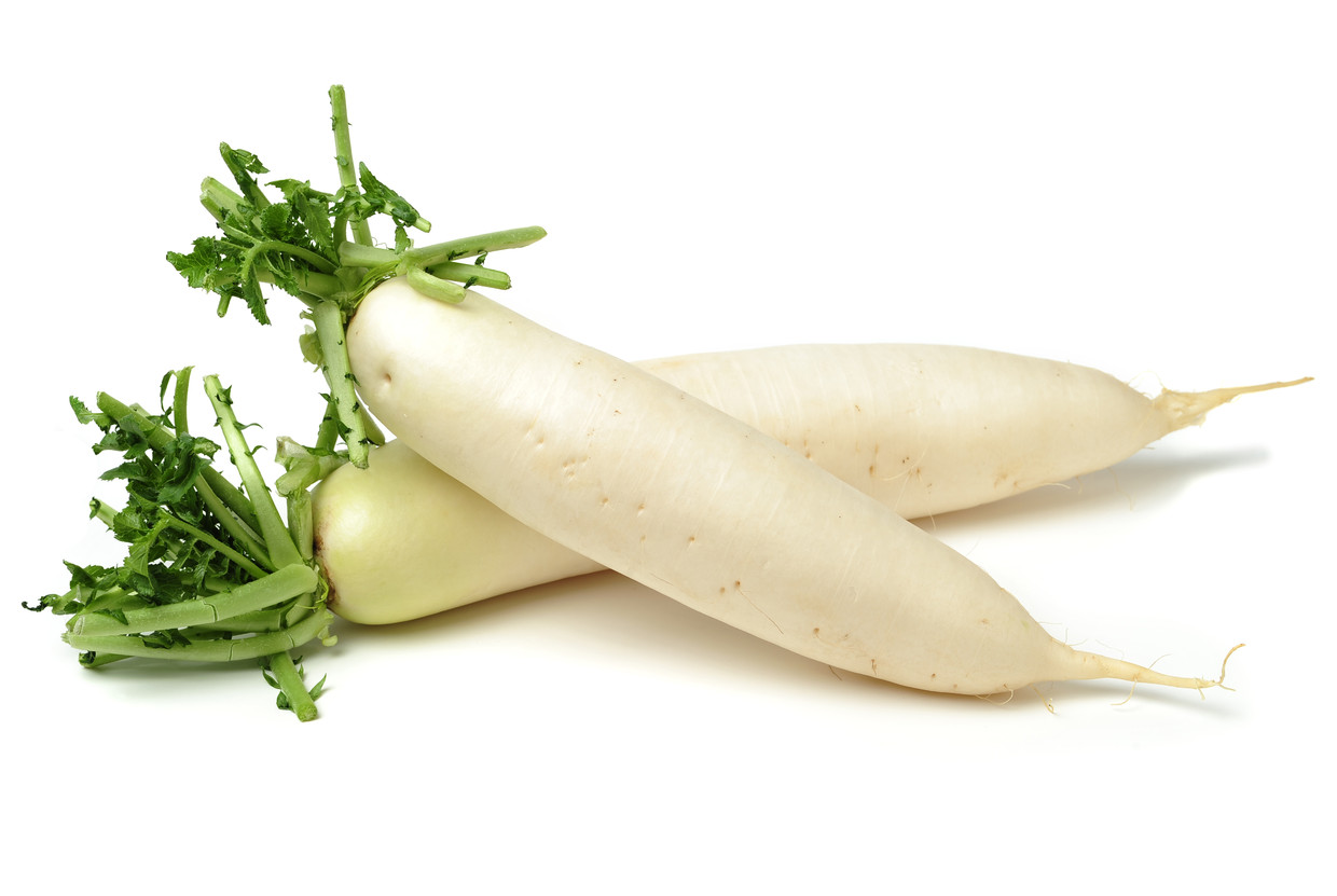 De grote, vriendelijke broer van de radijs, de lekkerste Japanse thee ...