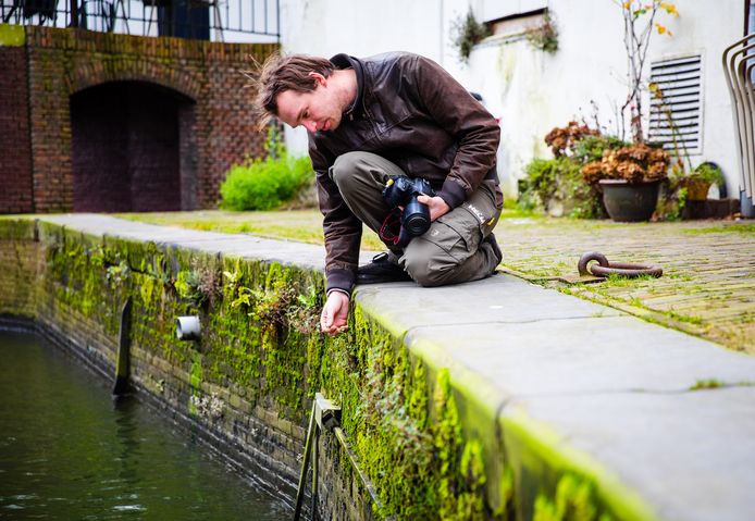Verveel je je? Ga in Dordt op stoeptegelexpeditie! | Dordrecht | AD.nl