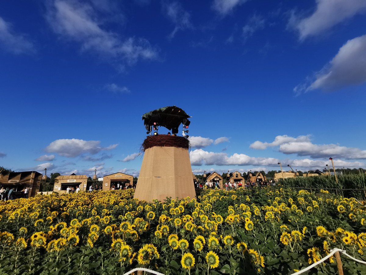 IN BEELD. Campo Solar in Damme start onder stralende zon | Foto | hln.be