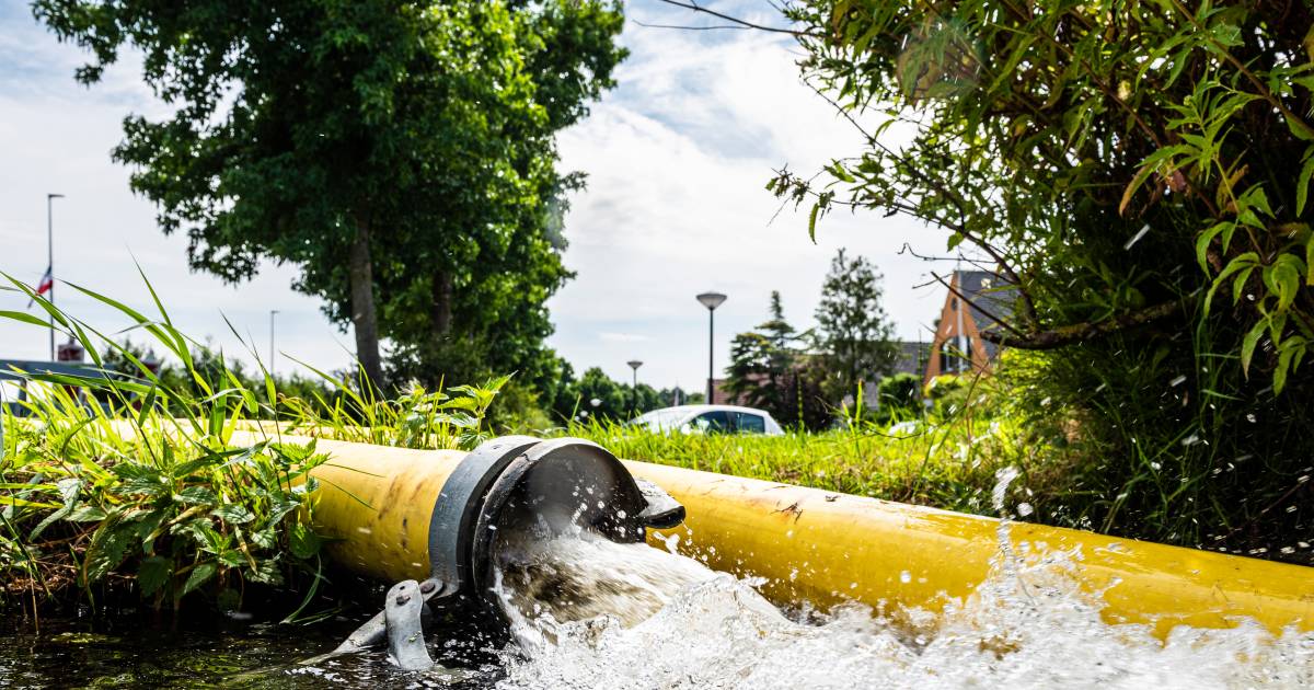 Ondanks de regen is er tóch nog te weinig water: ‘Droogte nog niet ...