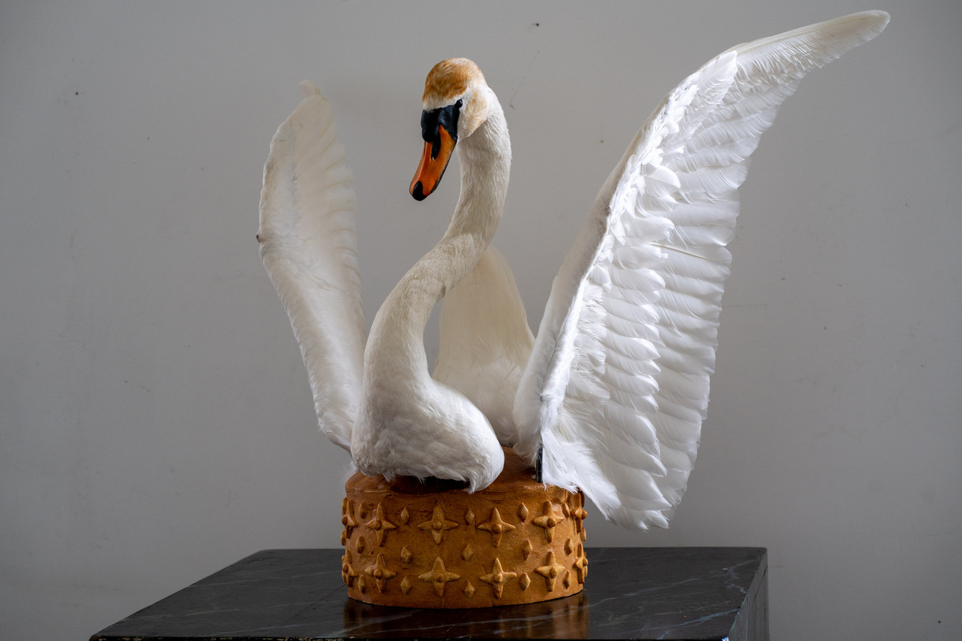 Koken zoals de Twentse adel dat eeuwen geleden deed, het kan nu: ‘Hij ...