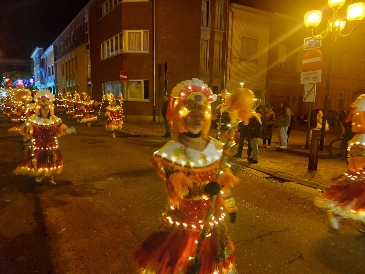 IN BEELD. Prachtige praalwagens en mooie kostuums op carnaval in Zottegem | Foto | hln.be