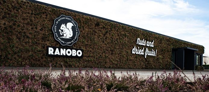 Groene zakjes, groene gevel: Ranobo kiest voor Kempense natuurmuur ...