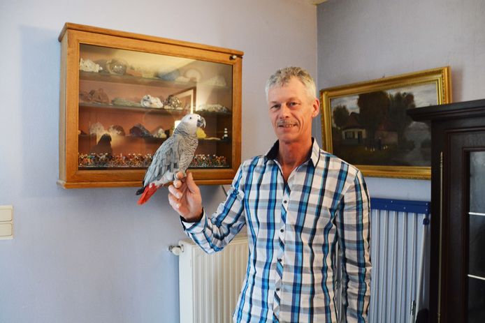 KIJK. Papegaai Paulie, die vlekkeloos Bart De Wever en Donald Muylle ...