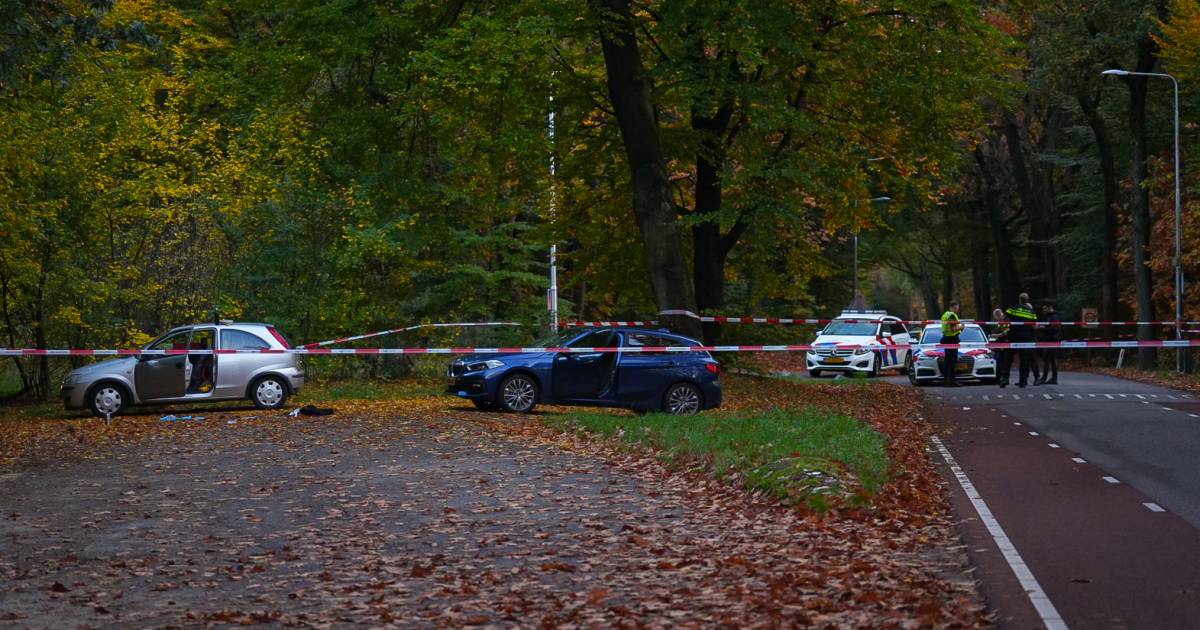 Politie schiet verdachte van auto-inbraak neer bij aanhouding ...