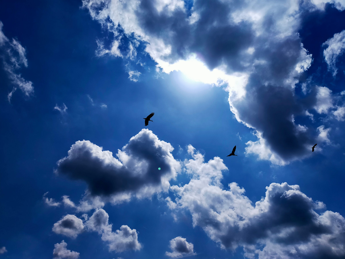 Drie op een rij in de lucht | Foto | bndestem.nl