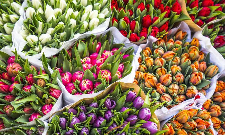 Wat de kleur van de tulpen in jouw vaas betekent | Libelle