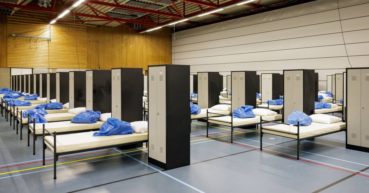 Gemeente Den Haag vangt 90 asielzoekers op in noodopvang om Ter Apel te ...