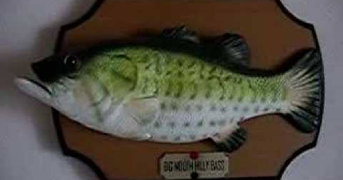 Zingende 'vis' verjaagt inbreker | Bizar | AD.nl