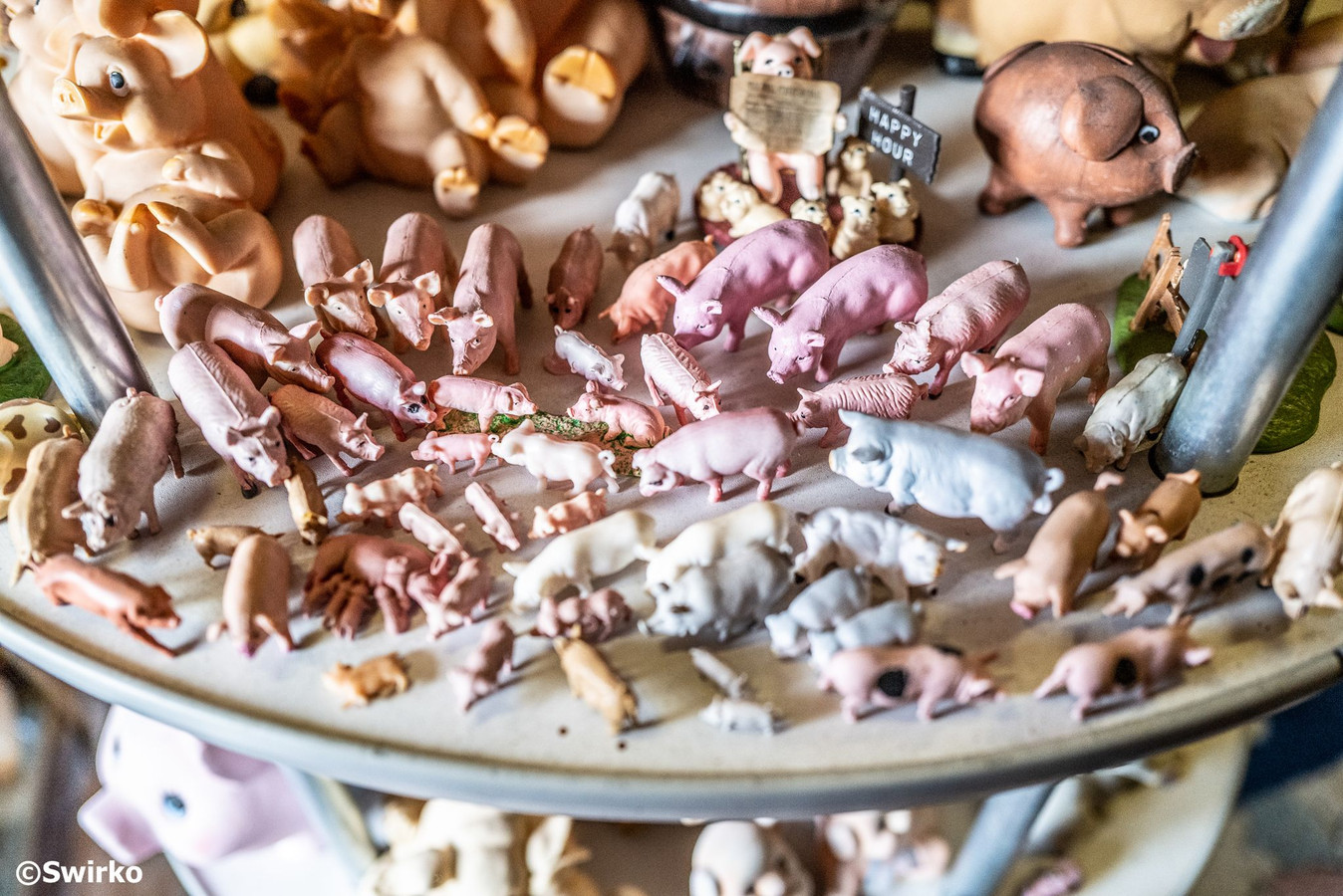 Marc (69) hoopt dat zijn klein ‘Varkensmuseum’ extra boost krijgt na ...