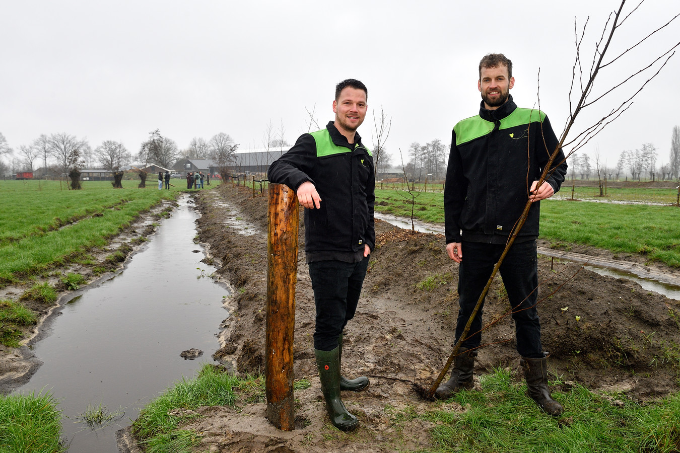 Geen ‘groene woestijn’, maar veel bomen en planten: zo ziet de ...