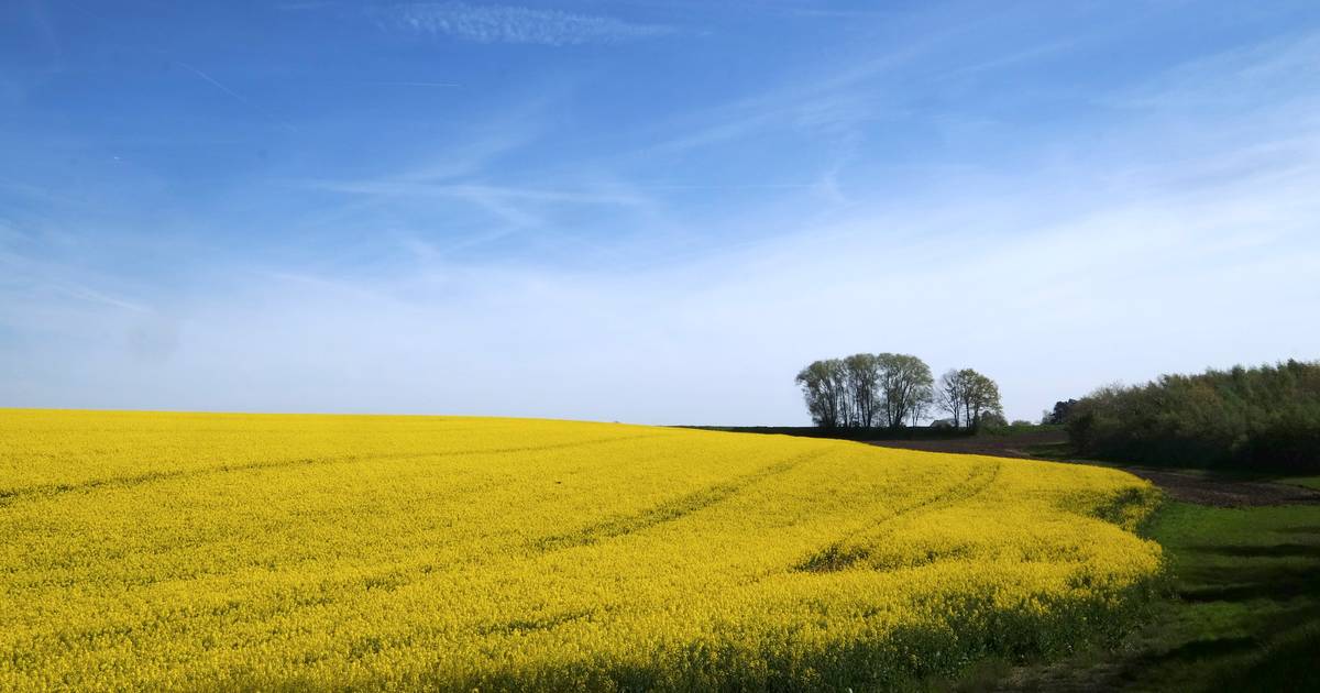 Un temps sec et ensoleillé, mais toujours très frais pour la saison ...