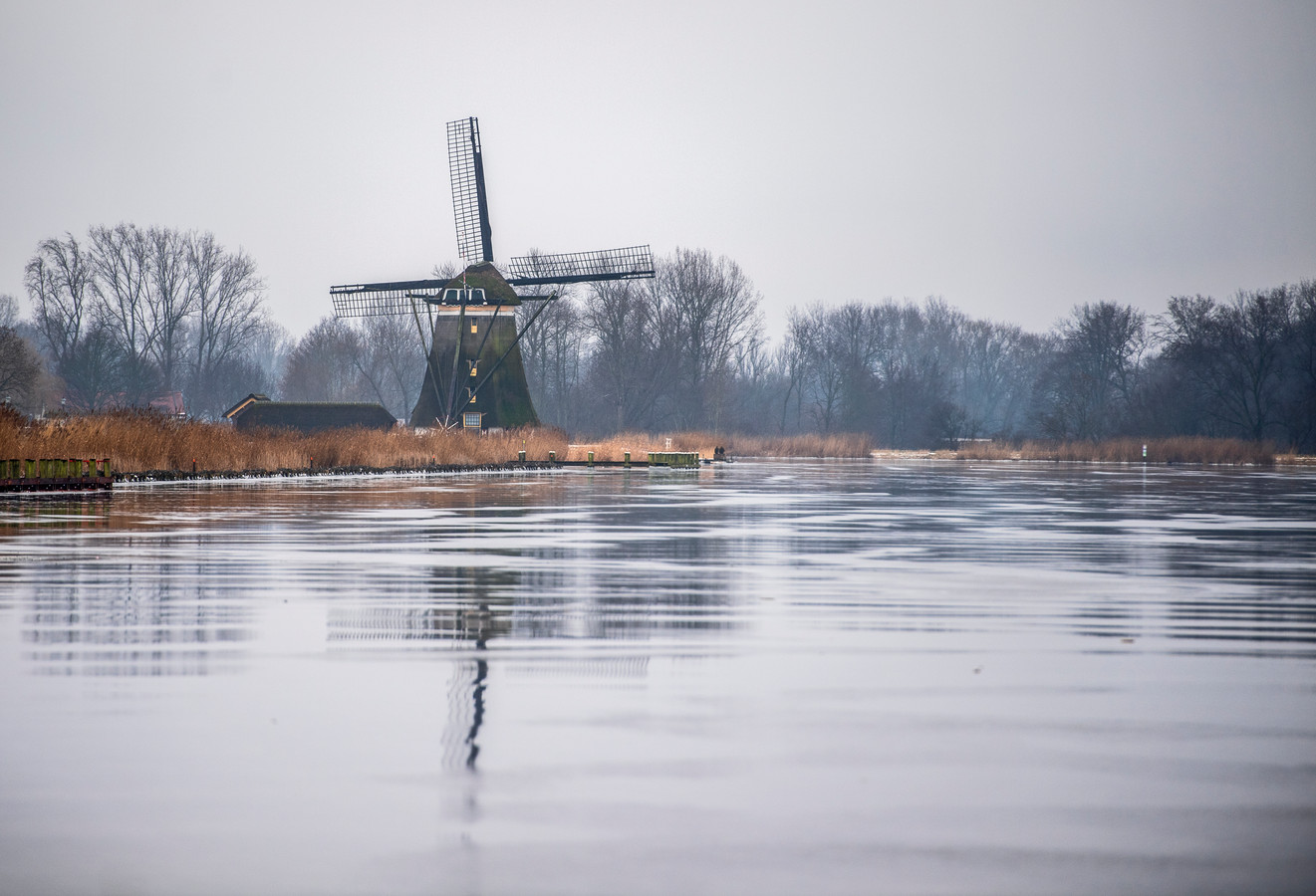 Uitgekeken op je wandelrondje? Deze natuurgebieden buiten Rotterdam ...