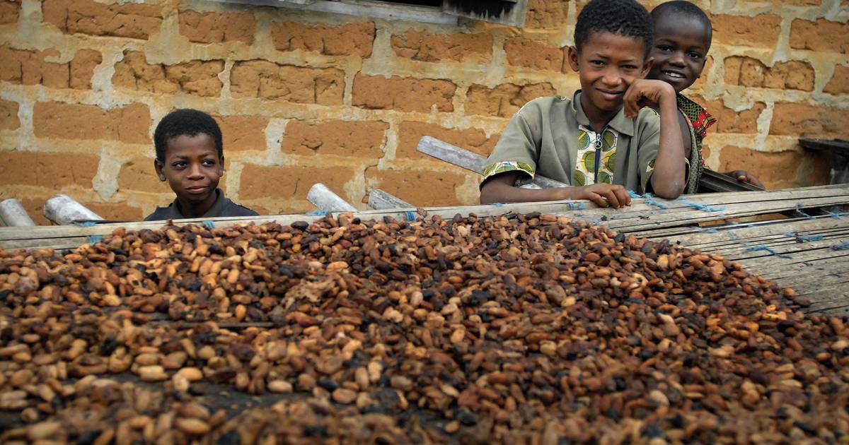 Wereldwinkels steunen arme cacaoboeren met actie Bite to Fight ...