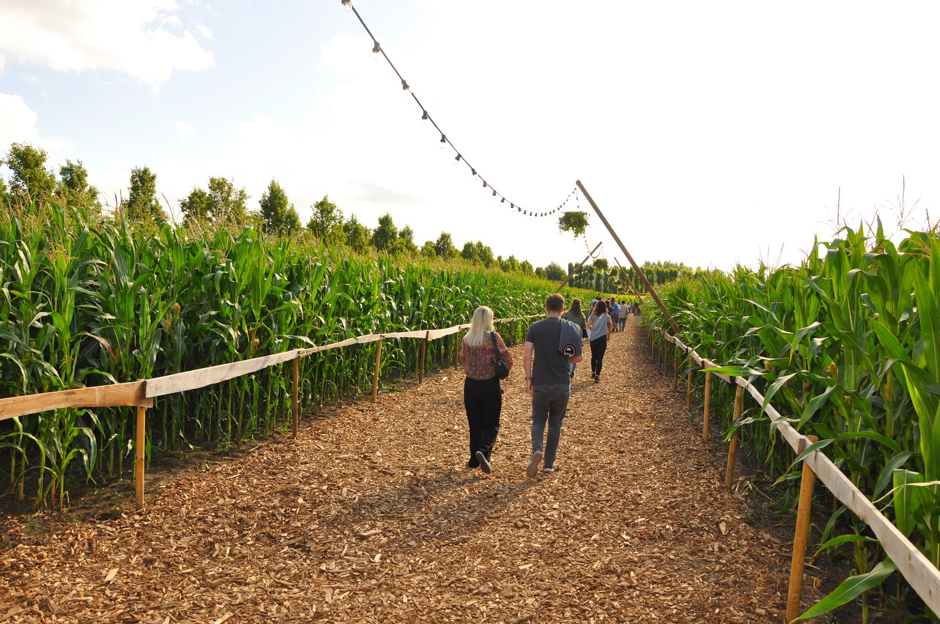 IN BEELD. Campo Solar in Damme start onder stralende zon | Foto | hln.be