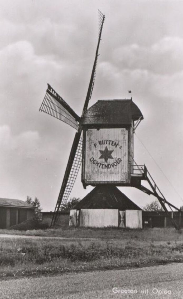 Molen Oploo is weer zoals die was | Maasland | gelderlander.nl