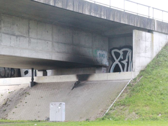 Cannabisplantages in gewelven onder brug is trend die komt overwaaien ...