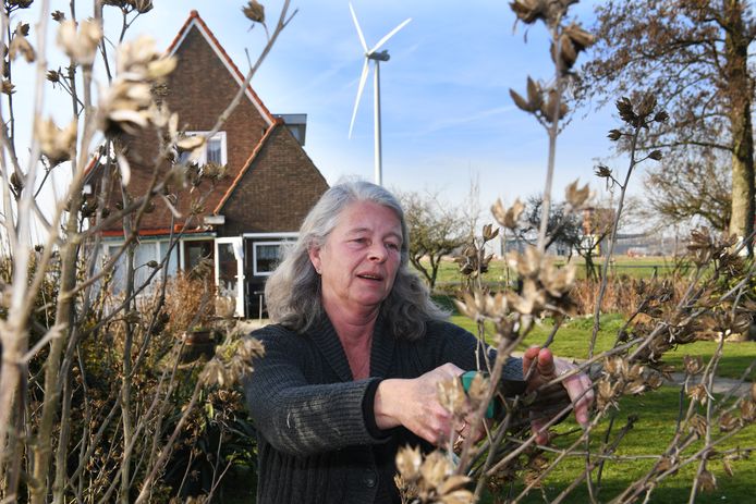 Windmolens bij woning Hanny gaan tóch ‘volle bak’ draaien: ‘Wat heb ik ...