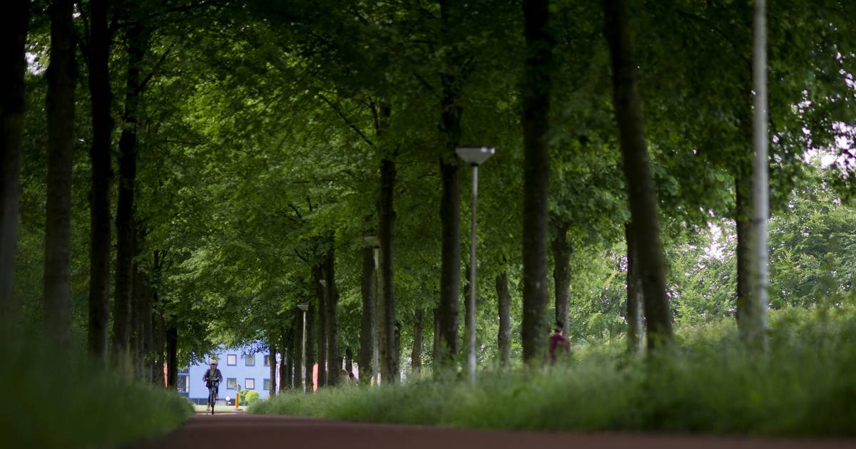 CDA wil cameratoezicht in Park Schothorst | Amersfoort | AD.nl