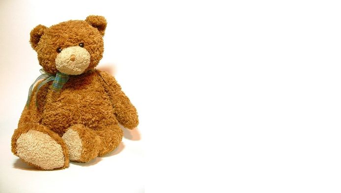 Emotionele zoektocht naar opa en oma beer: hadden niet bij kringloop ...