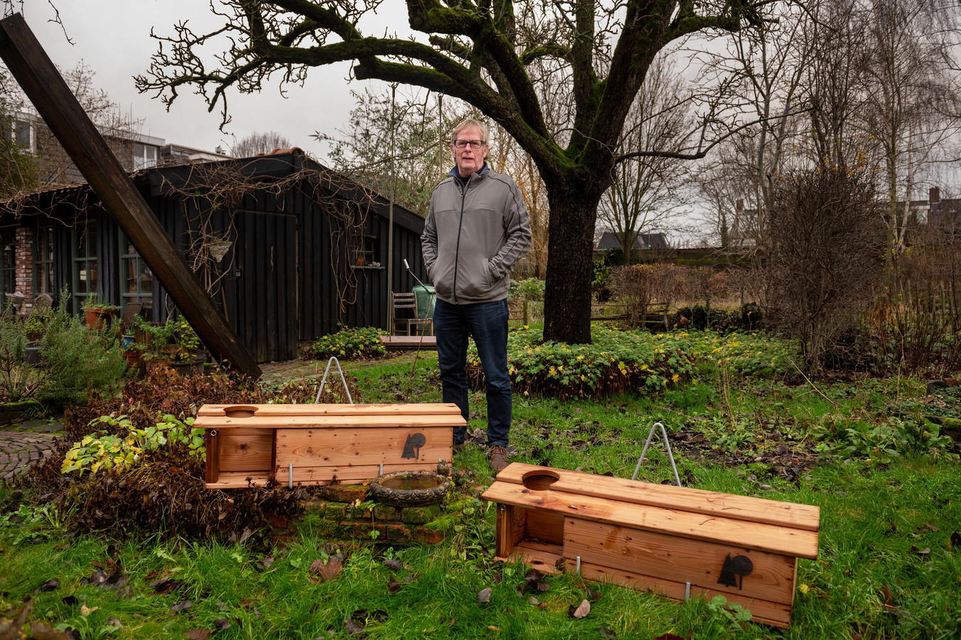 Martin wil steenuil redden van de ondergang: ‘Uiteindelijk wint de mens ...
