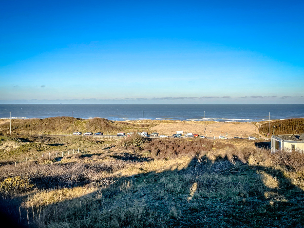 Grootschalig project van 7 miljoen euro moet woekerplanten weren uit ...