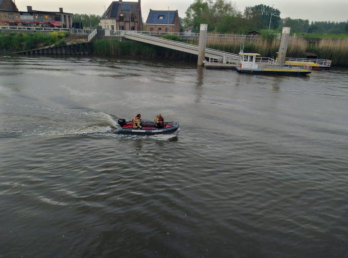 Dood schaap uit Schelde gehaald door brandweer | Wichelen | hln.be