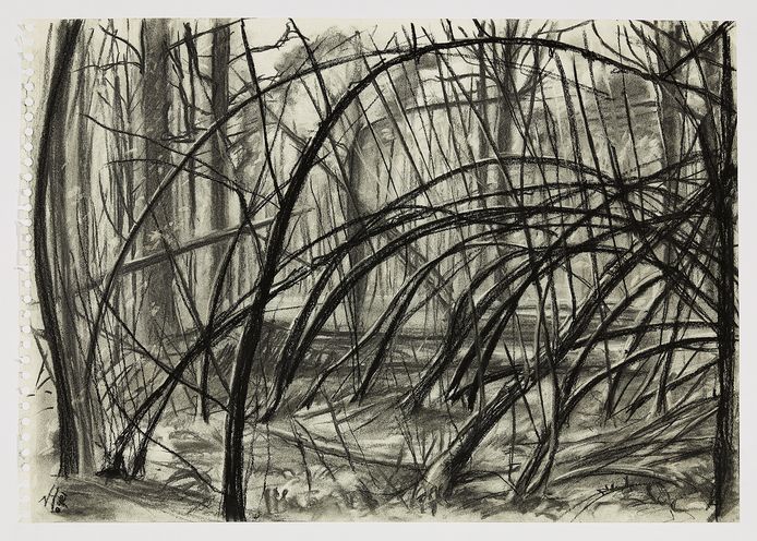 Fotograaf en beeldend kunstenaar met een passie voor natuur en tekenen ...