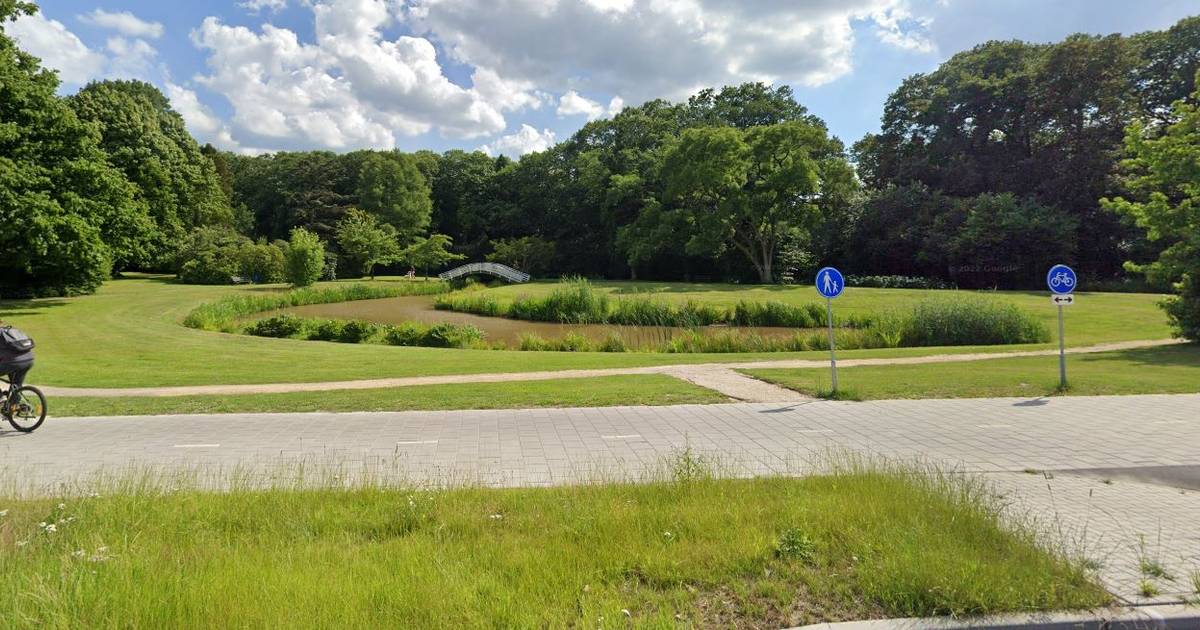 Vrouw tijdens wandeling met hondje ernstig mishandeld in het park ...