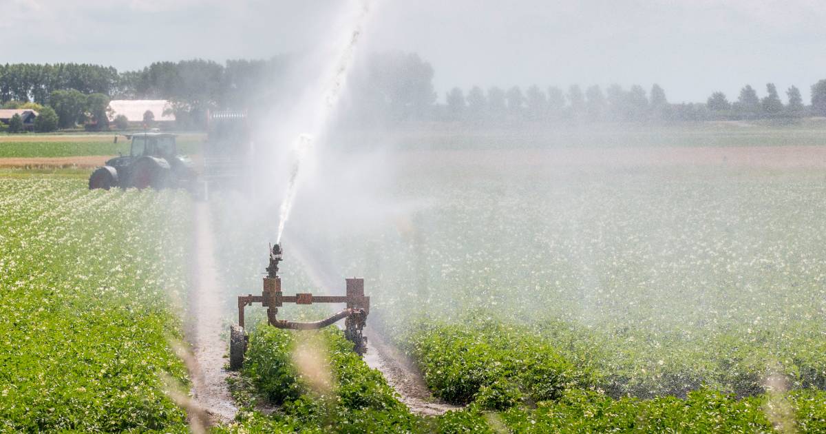 Per direct verbod op water sproeien uit sloten, waterschap spreekt van ...