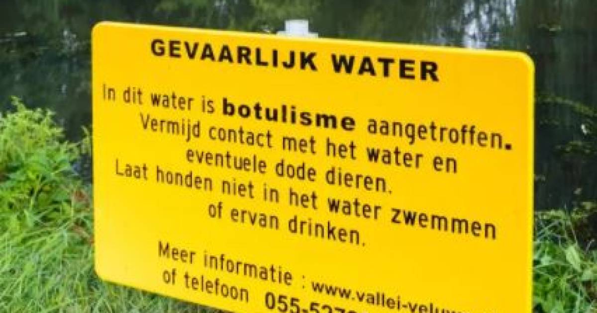 Botulisme in vijver in Ederveen: ‘Houd huisdieren weg bij het water ...
