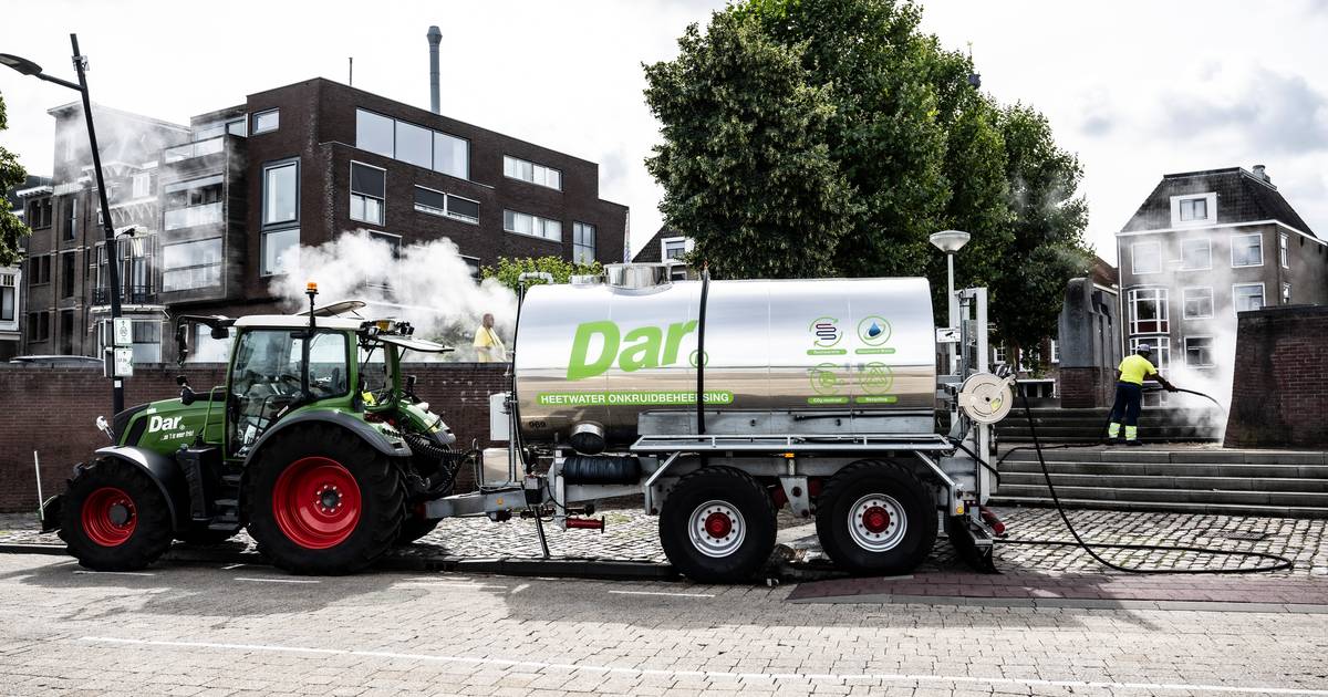 Solliciteren per WhatsApp is bij de Dar een succes: ‘We krijgen veel ...