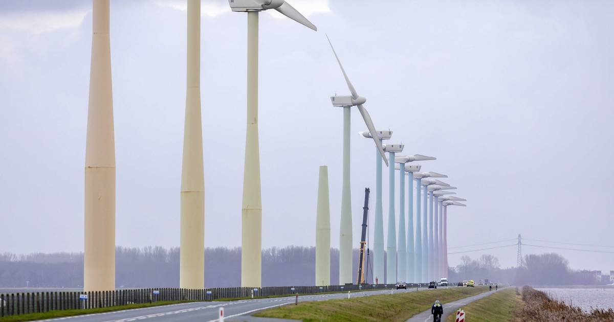 Windpark Zeewolde staat tot nader order stil na afbreken turbine, maar ...