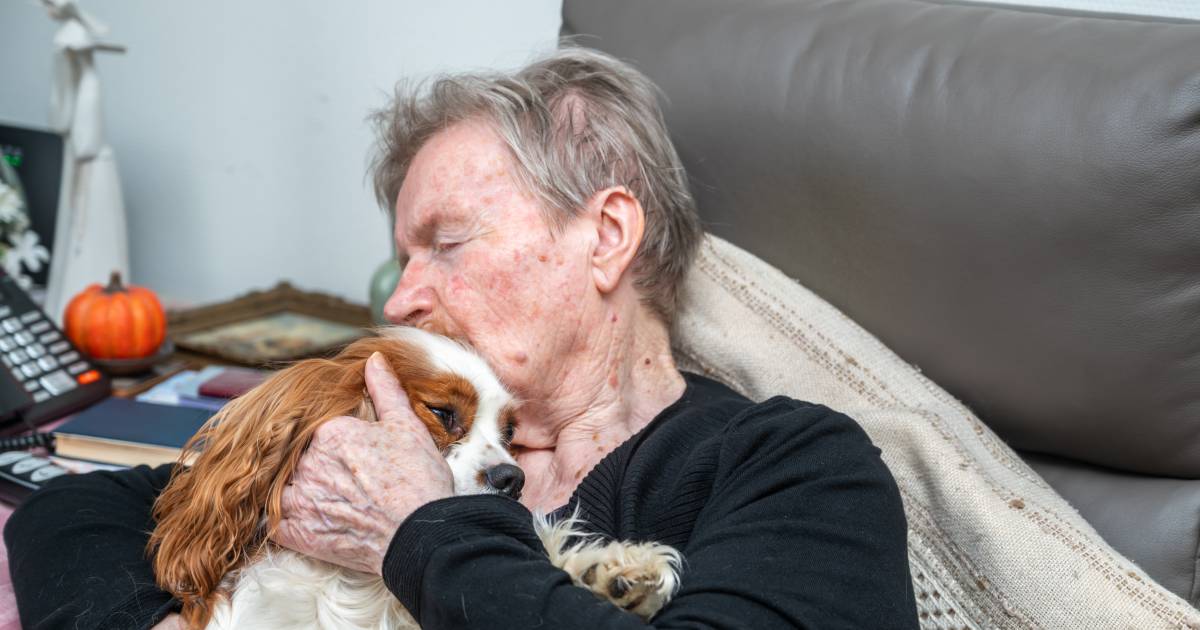 Pluk de dag en knuffel met dieren: ‘We weten dat dieren in de zorg een ...