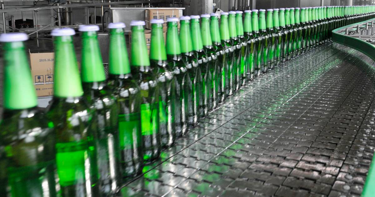 'Een halve liter bier per dag is goed voor het hart' | Gezond ...