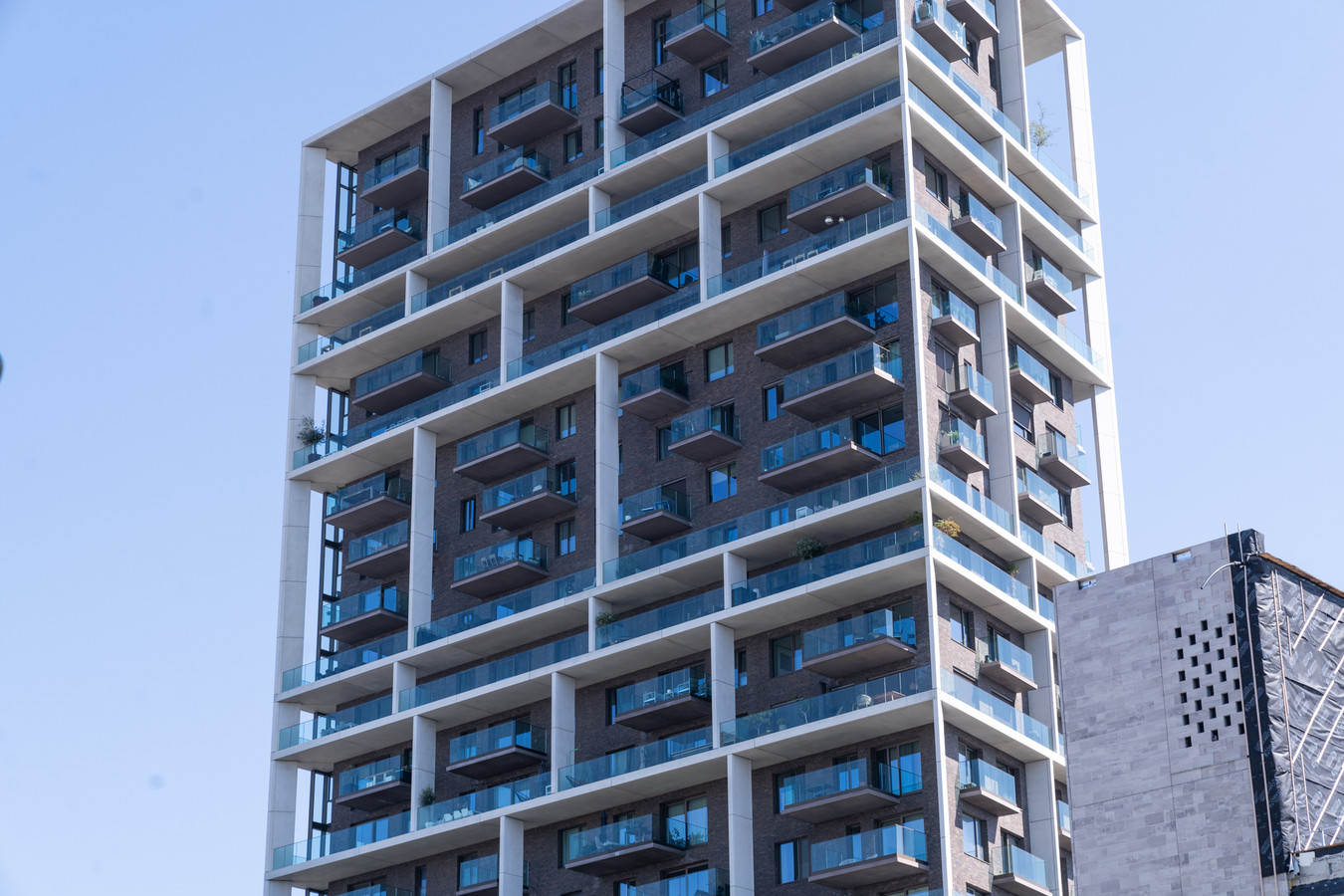 Triple Living lanceert architectuurwandeling in Nieuw Zuid | Foto | hln.be