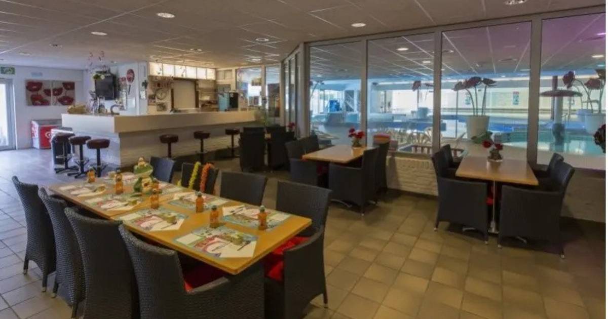 Even geen patatje na het zwemmen, opening brasserie in ’t Kikkerfort ...