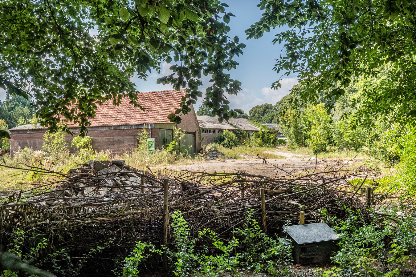 Bomenkap Gooiseweg mocht wel: ‘Behoud van bestaand groen én woningbouw ...